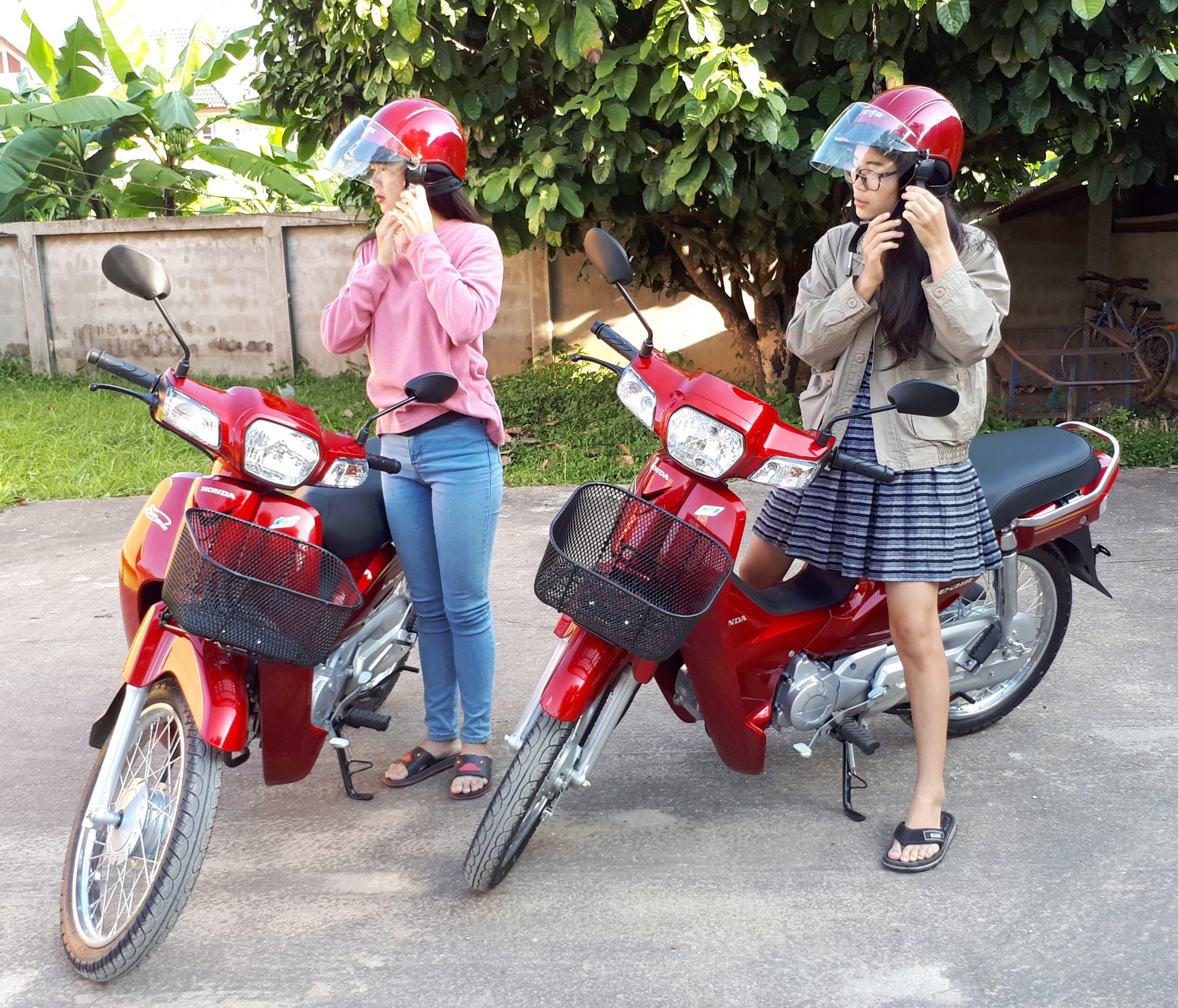 Nieuwe Brommers - Baan Phak Phing